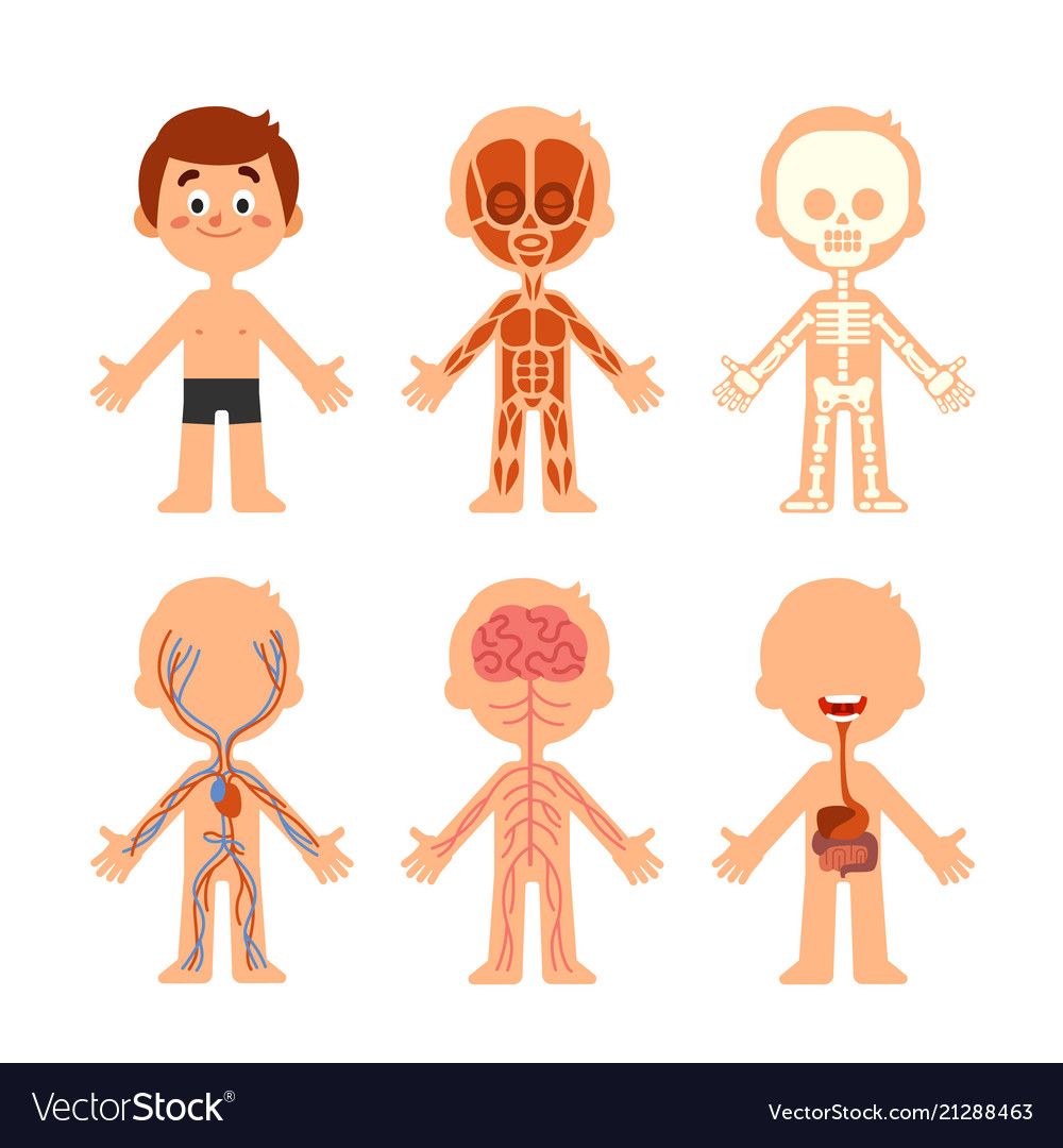 Interactive Body parts | Genially
