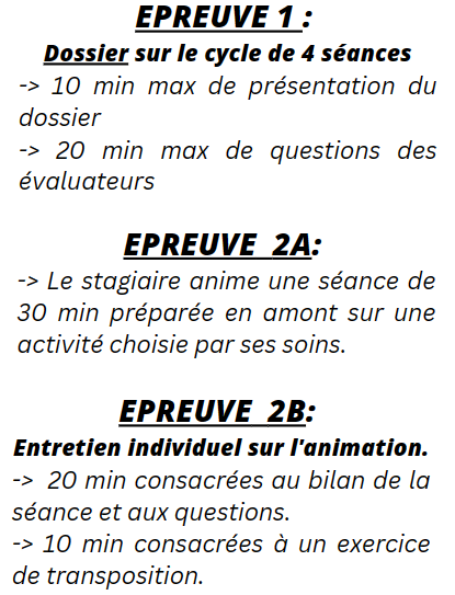 Certification de la formation CQP ALS | Genially