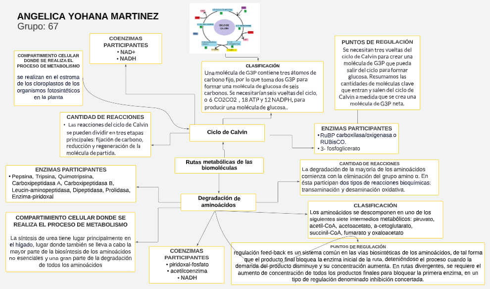 MAPA BÁSICO | Genially