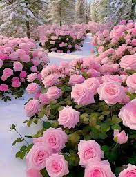 trailer familiar | Genially