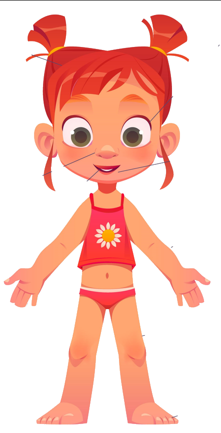 Le corps (CE2) | Genially