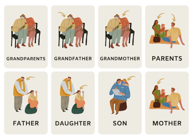 Flashcards_Family members | Genially