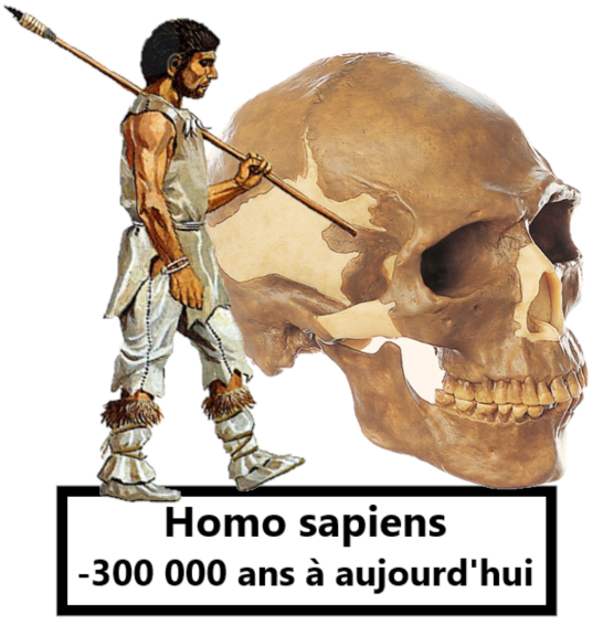 La Lignée Humaine Genially