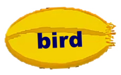 Plural Nouns with Turkeys | Genially