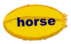 Plural Nouns with Turkeys | Genially