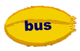 Plural Nouns with Turkeys | Genially