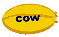 Plural Nouns with Turkeys | Genially