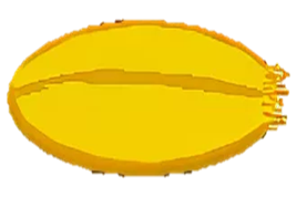 Plural Nouns with Turkeys | Genially