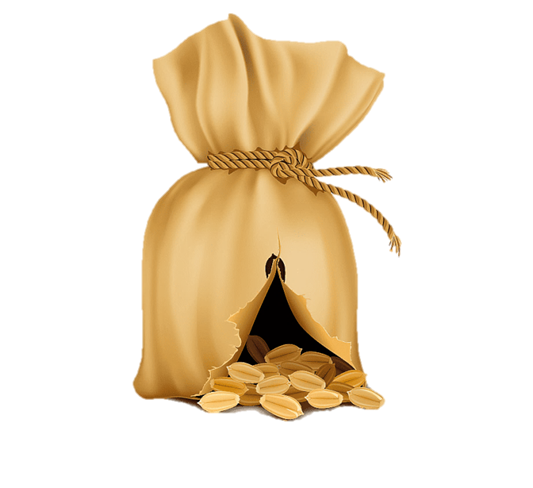 Plural Nouns with Turkeys | Genially