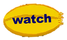 Plural Nouns with Turkeys | Genially