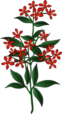 Holidays Around the World Map | Genially