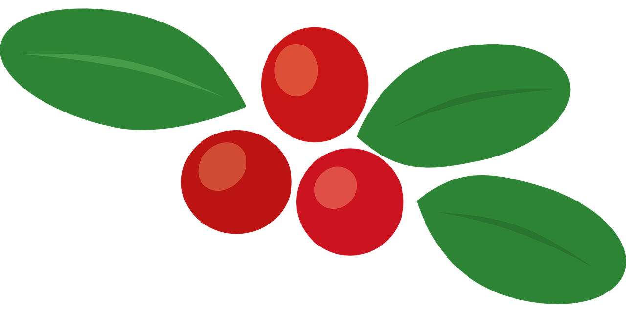 Lernpfad zu digitalen Tools | Genially