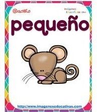 Sentido Espacial | Genially