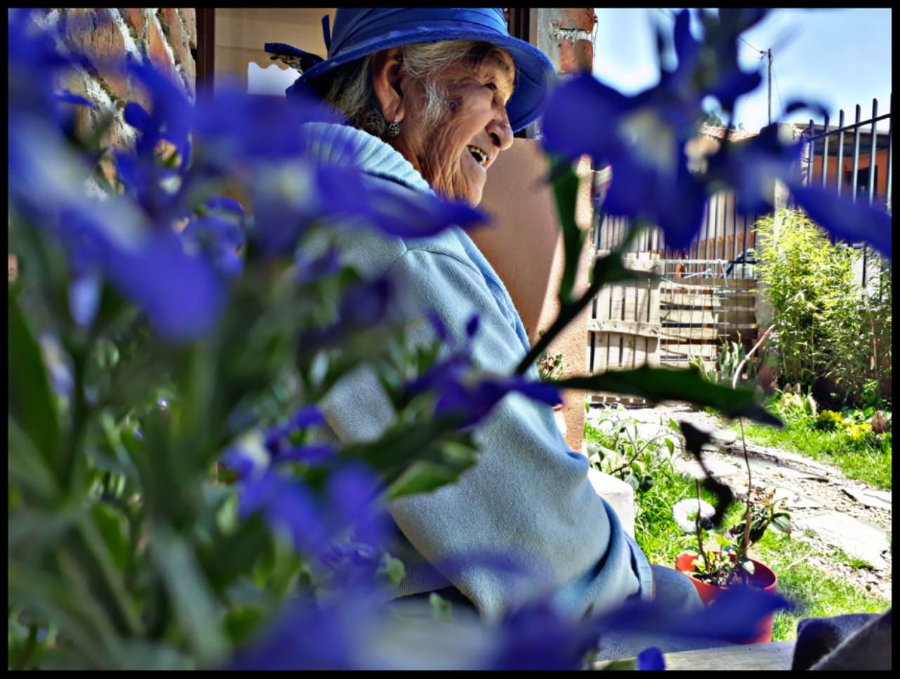 Family Tree | Genially