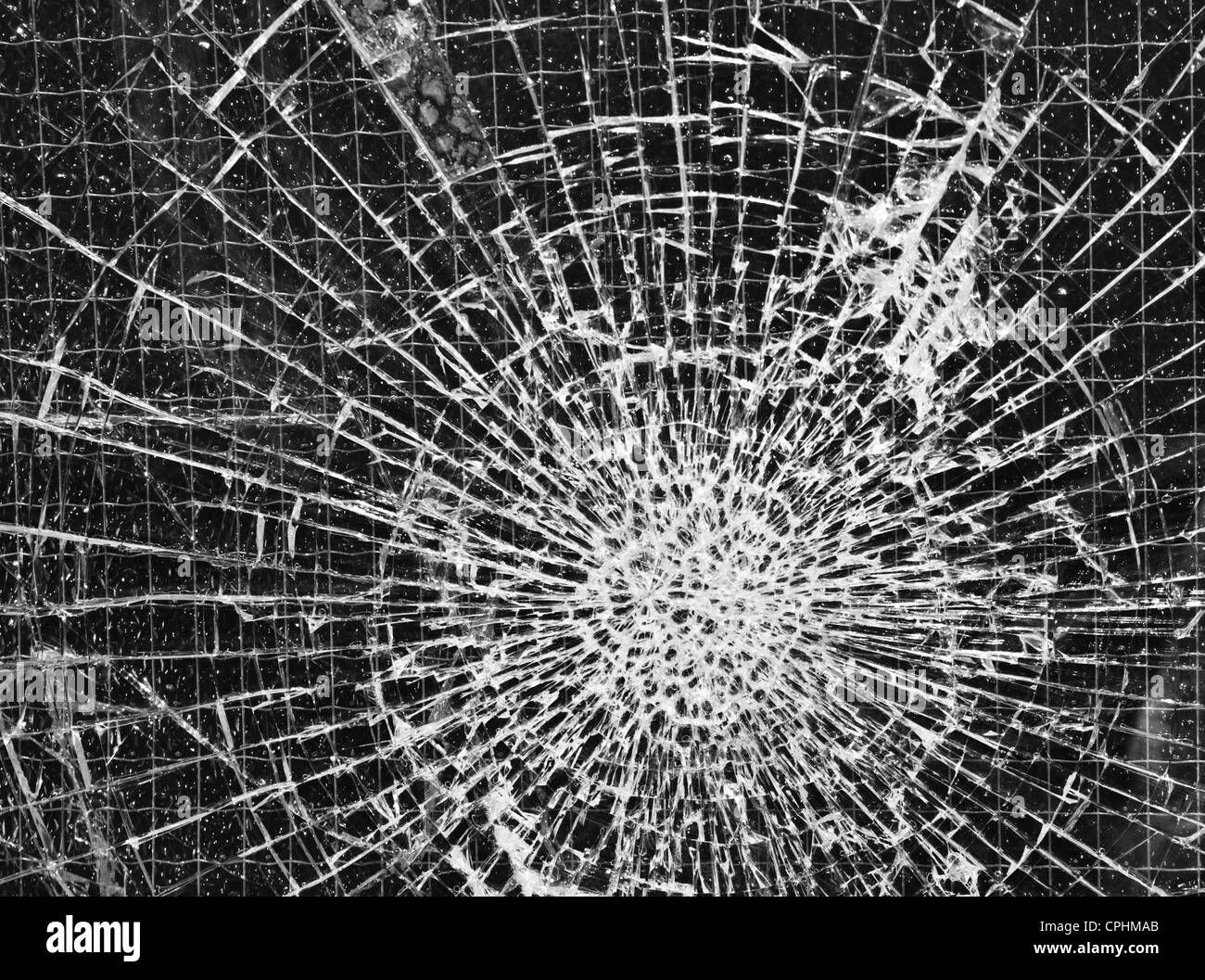 Trabajo Práctico Modulo 4. | Genially