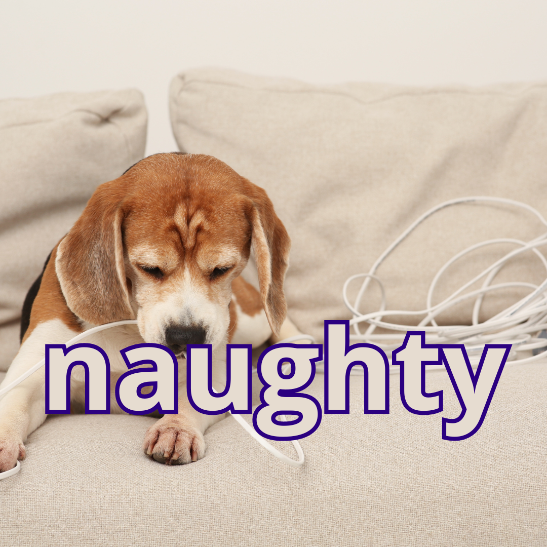 Form 5 Unit 8 Lesson 3 | Genially