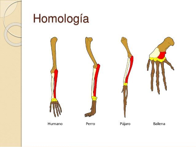 PRESENTACIÓN MODERN | Genially