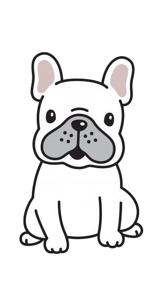 Essential Presentation | Genially