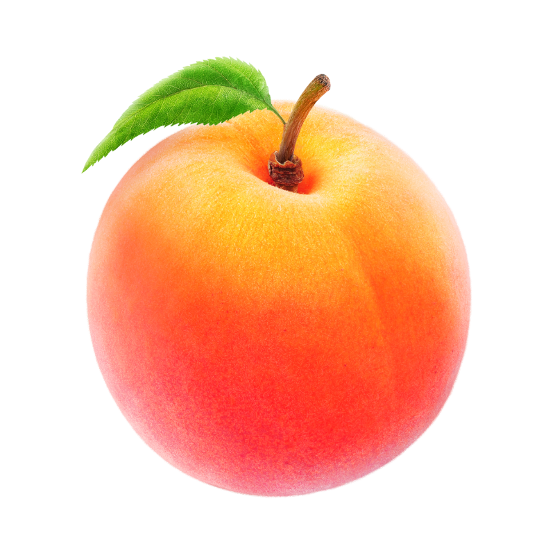 First Conditional | Genially