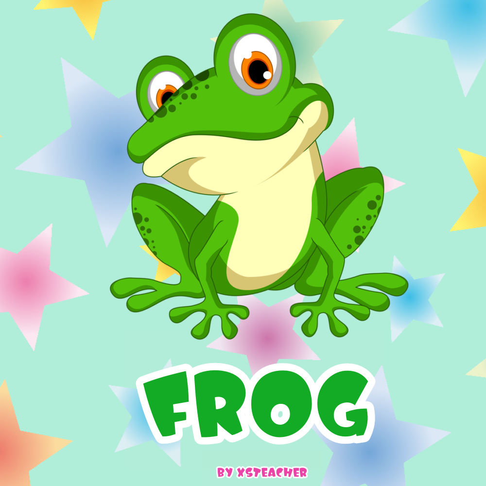 animals yl | Genially