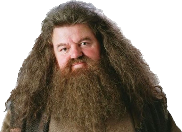 Copy - ANIMAL RACE | Genially