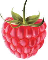 ABC_sorting_bdpq | Genially