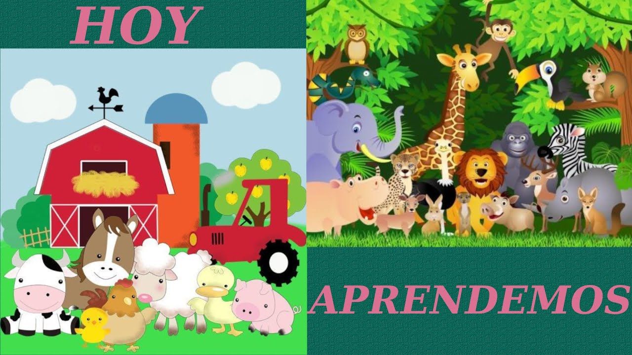 Mis amigos los animales