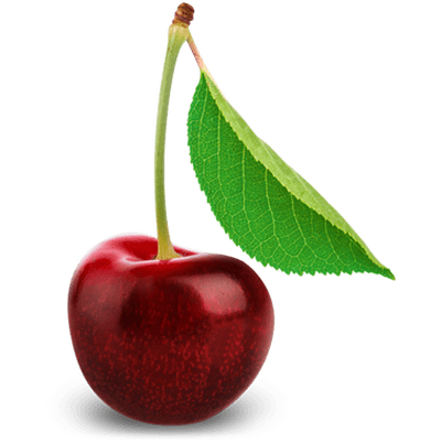 Padi Pado | Genially