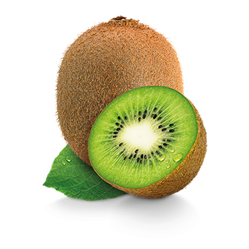 Padi Pado | Genially