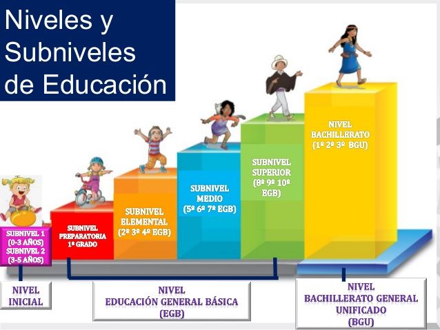 NIVELES Y SUBNIVELES CURRICULARES | Genially
