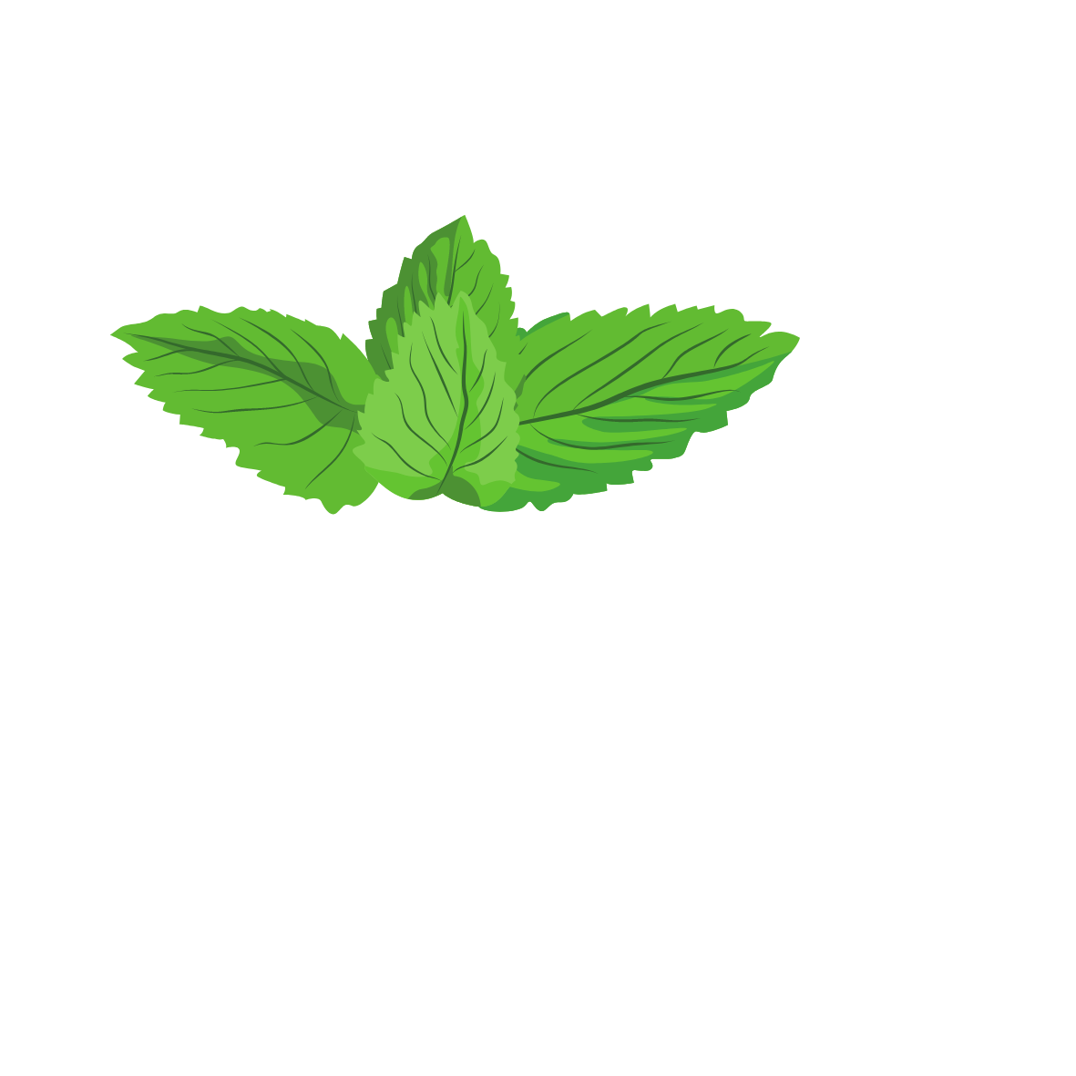 A FEW / A LITTLE | Genially