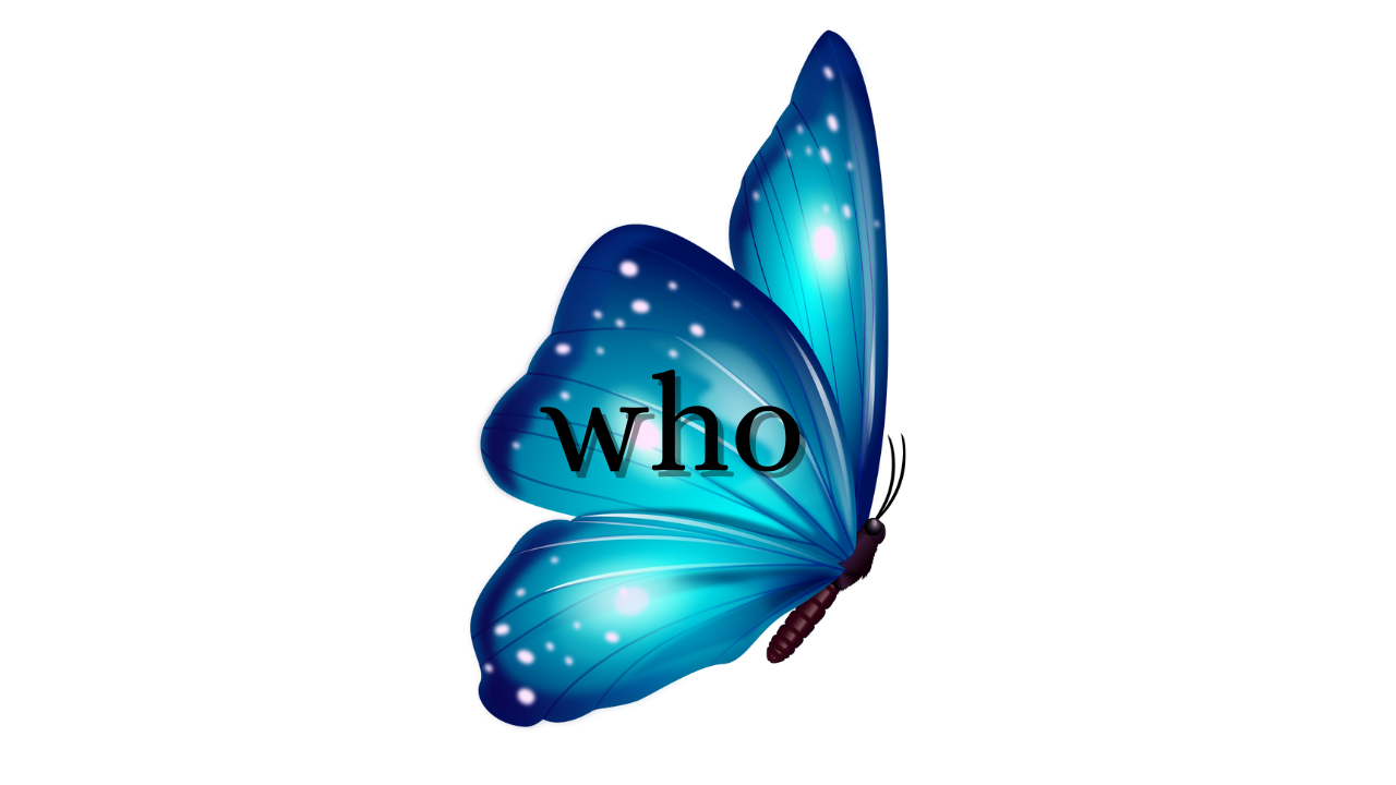 WH reading | Genially