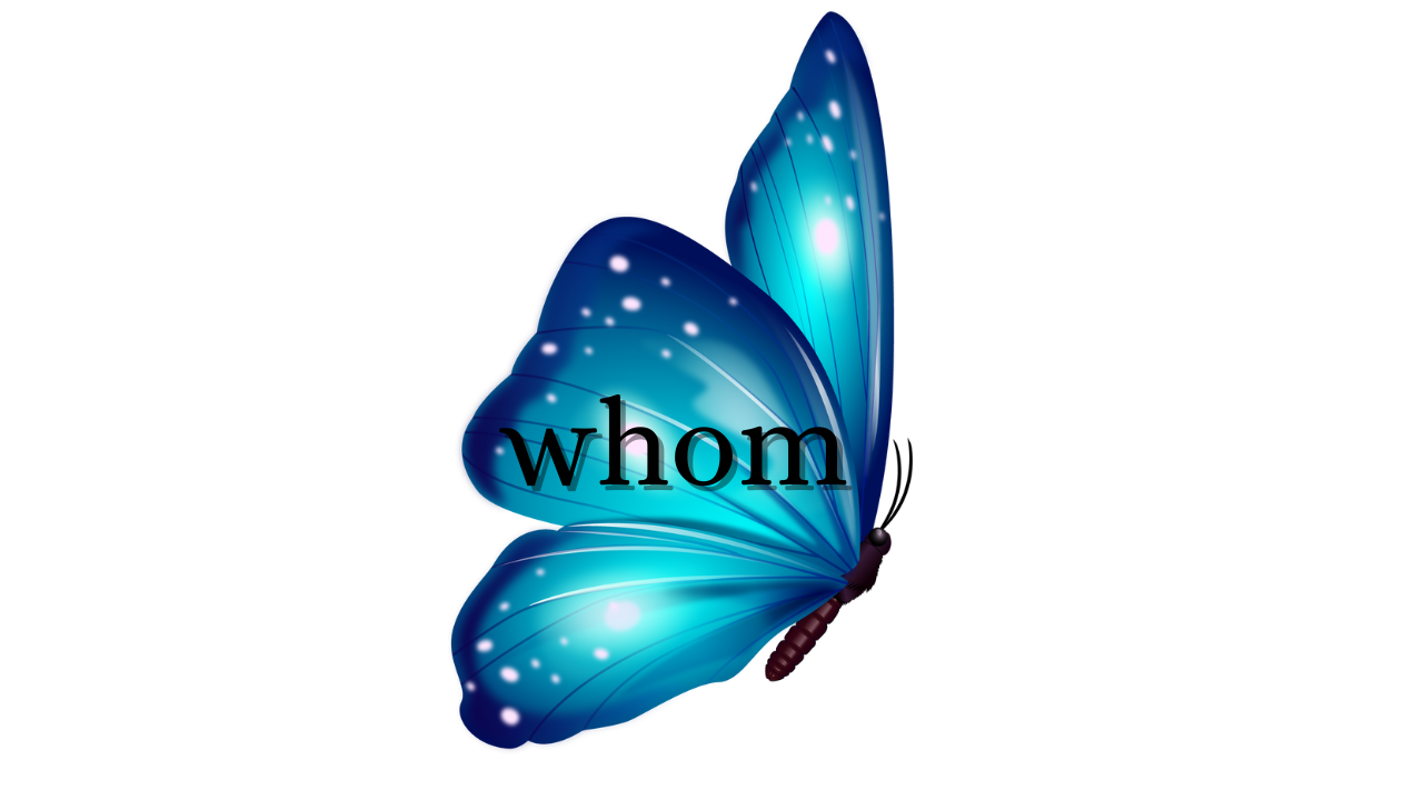 WH reading | Genially