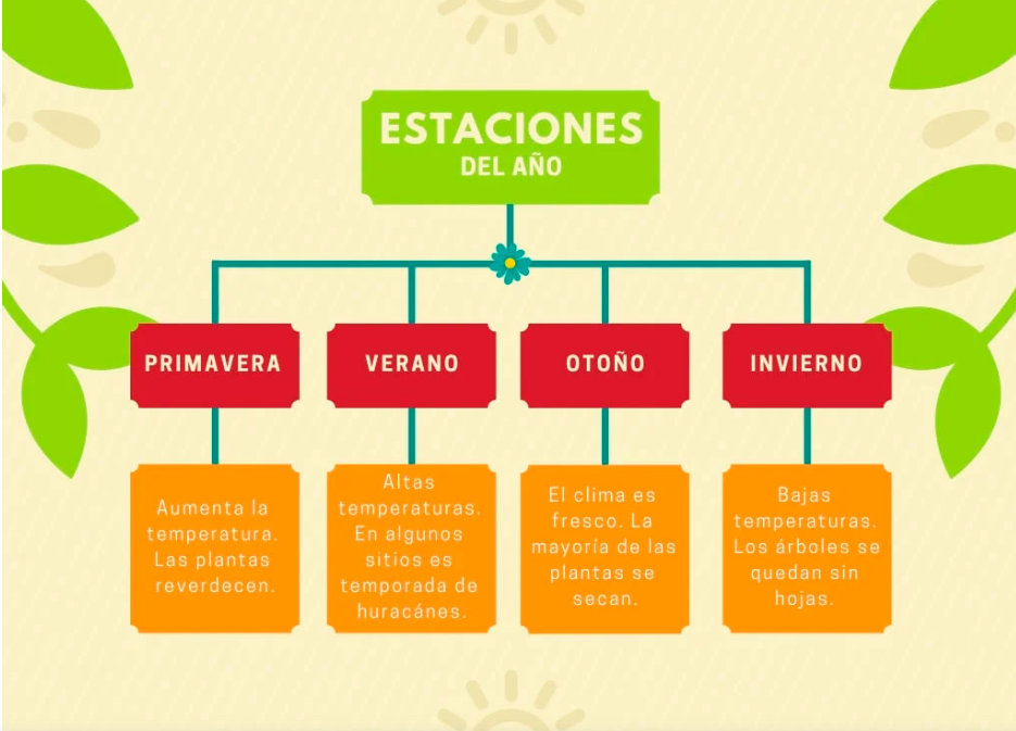 12)ORGANIZADORES.GRÁFICOS | Genially
