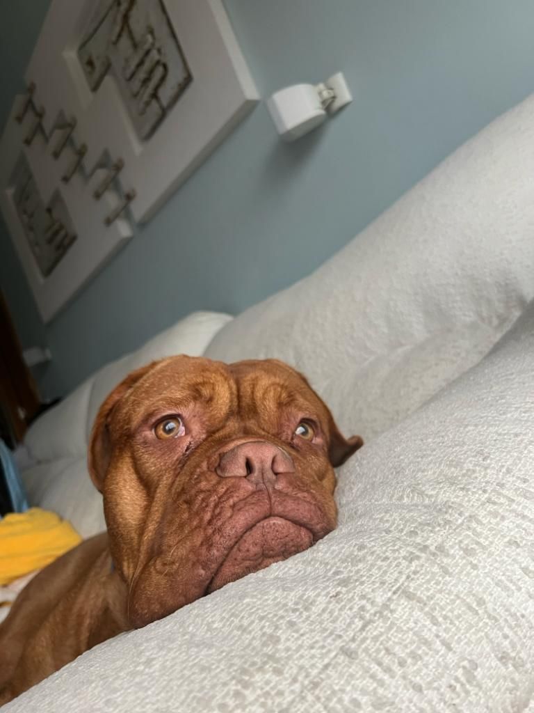 My time capsule | Genially