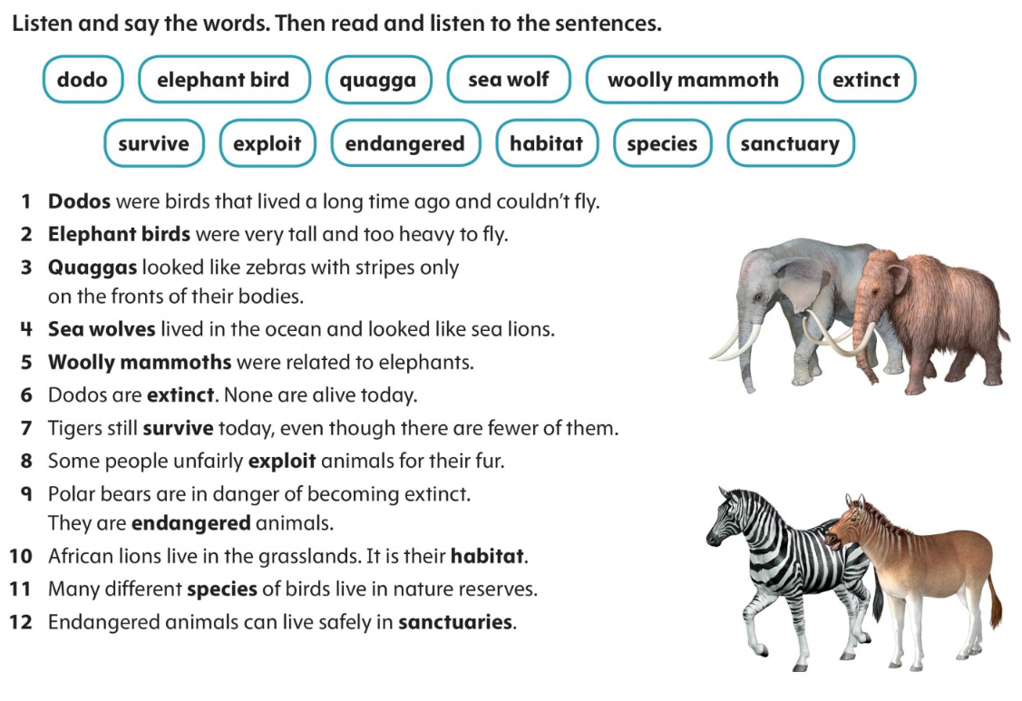 Endangered Animals | Genially