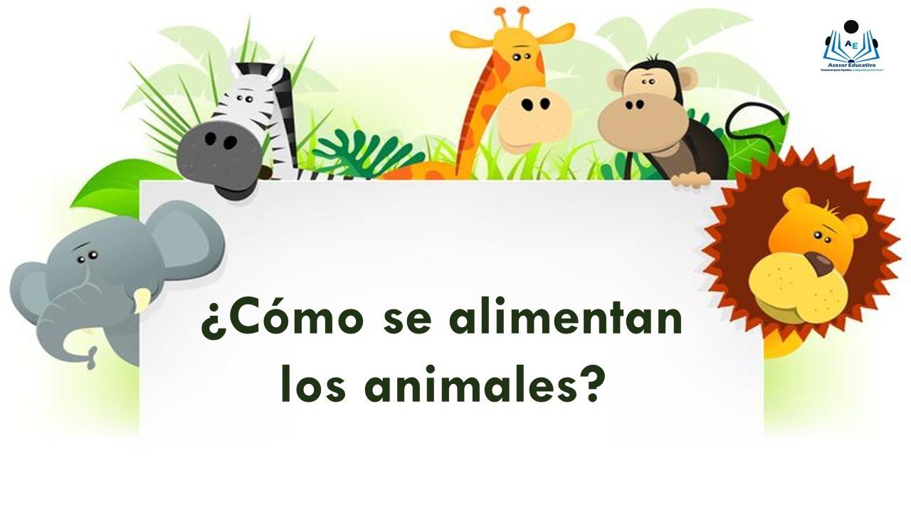 SEGÚN SU TIPO DE ALIMENTACIÓN