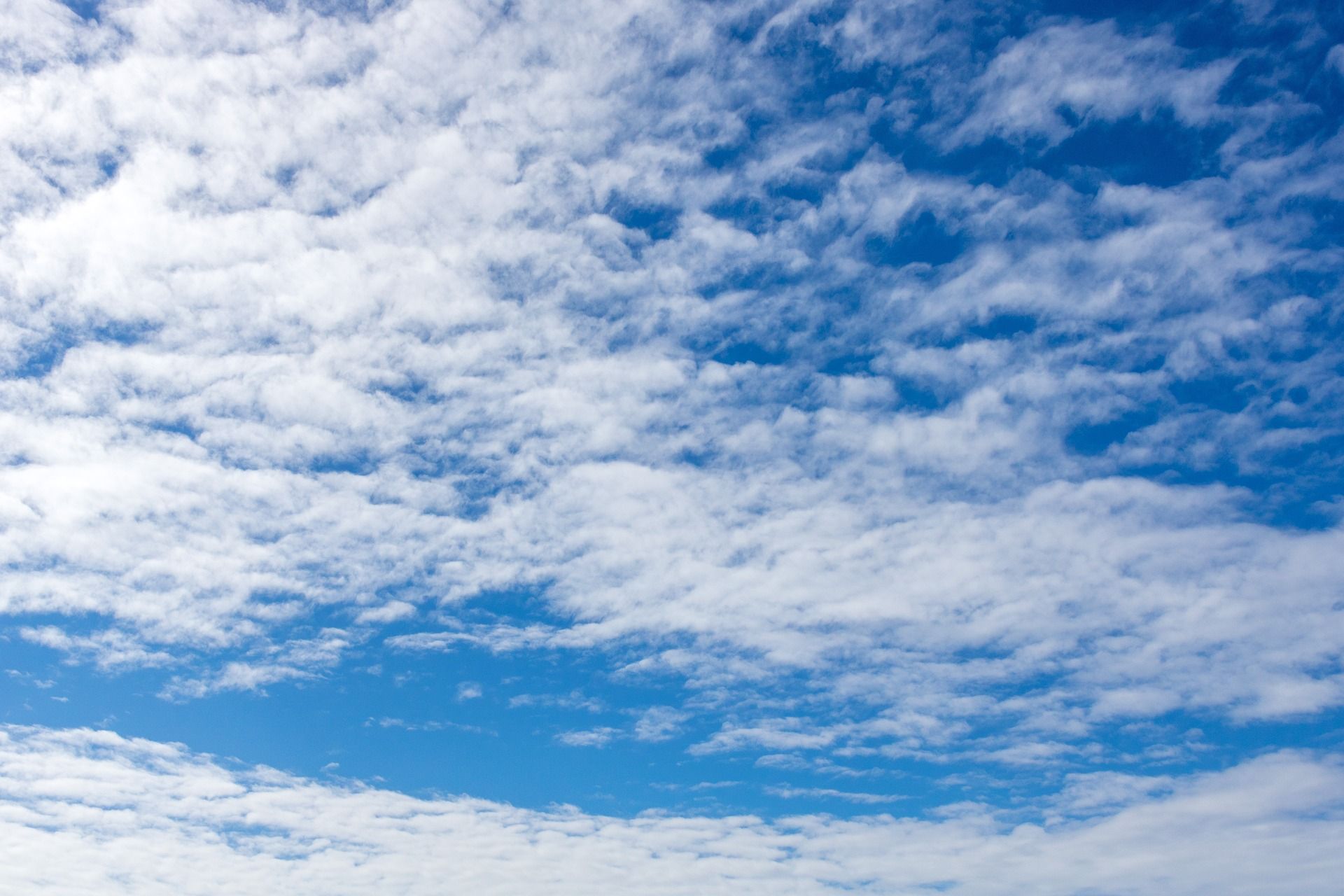 BlueBot és a leguán