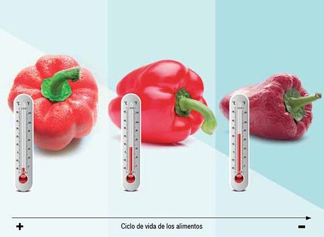 Conservación de Alimentos
