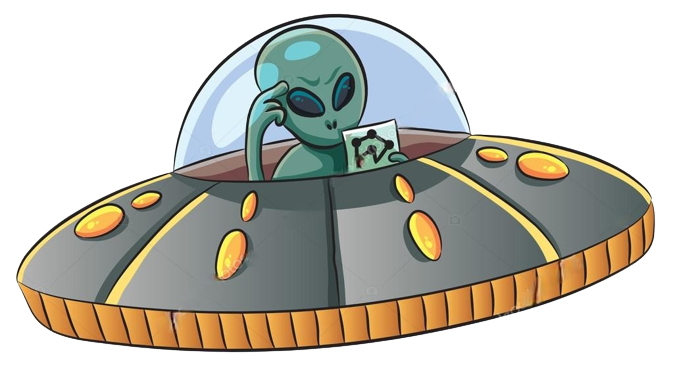 present simple/special questions | Genially