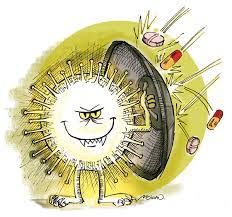 Infografía Microbiota Normal | Genially