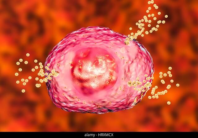 Réaction inflammatoire | Genially