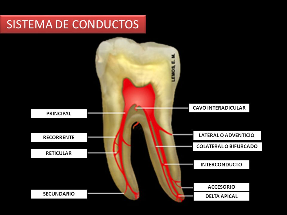 MAPA MENTAL CONFIGURACION INTERNA