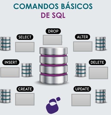 imagen interactiva de comandos basicos