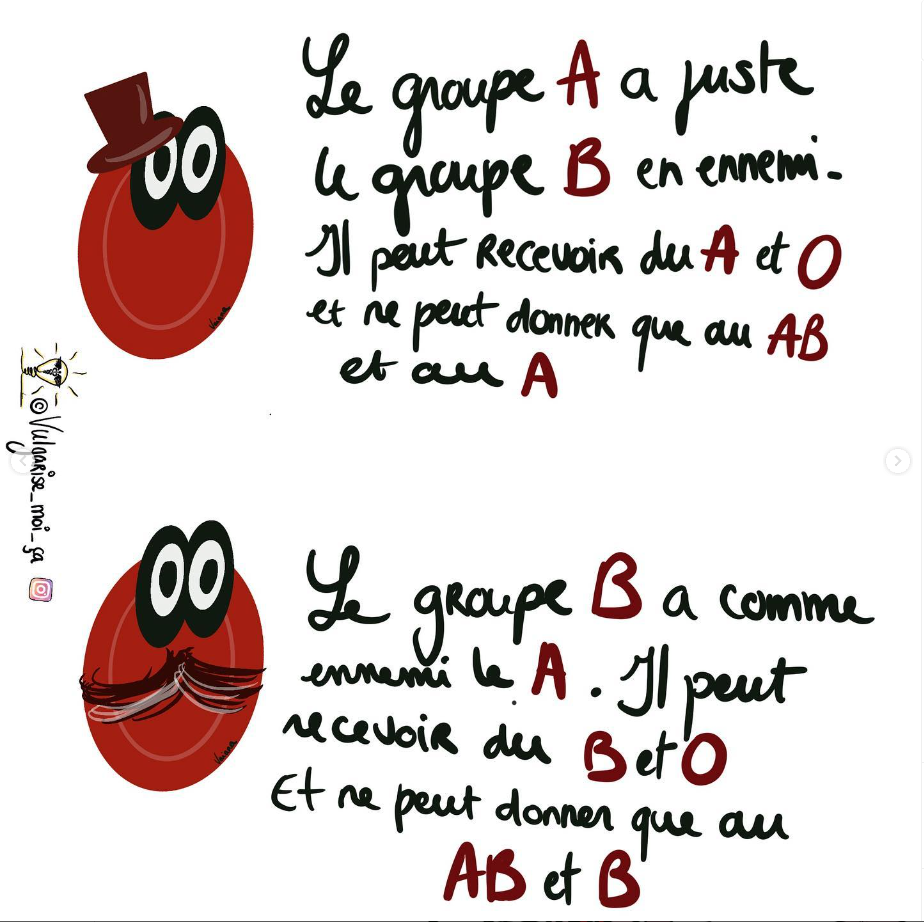 STEPS BICOLOR INFO | Genially