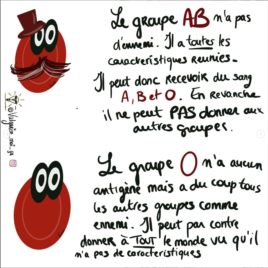 STEPS BICOLOR INFO | Genially