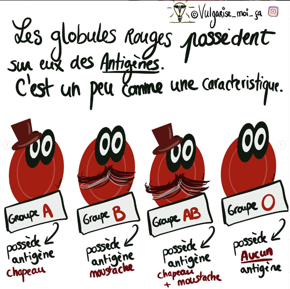 STEPS BICOLOR INFO | Genially