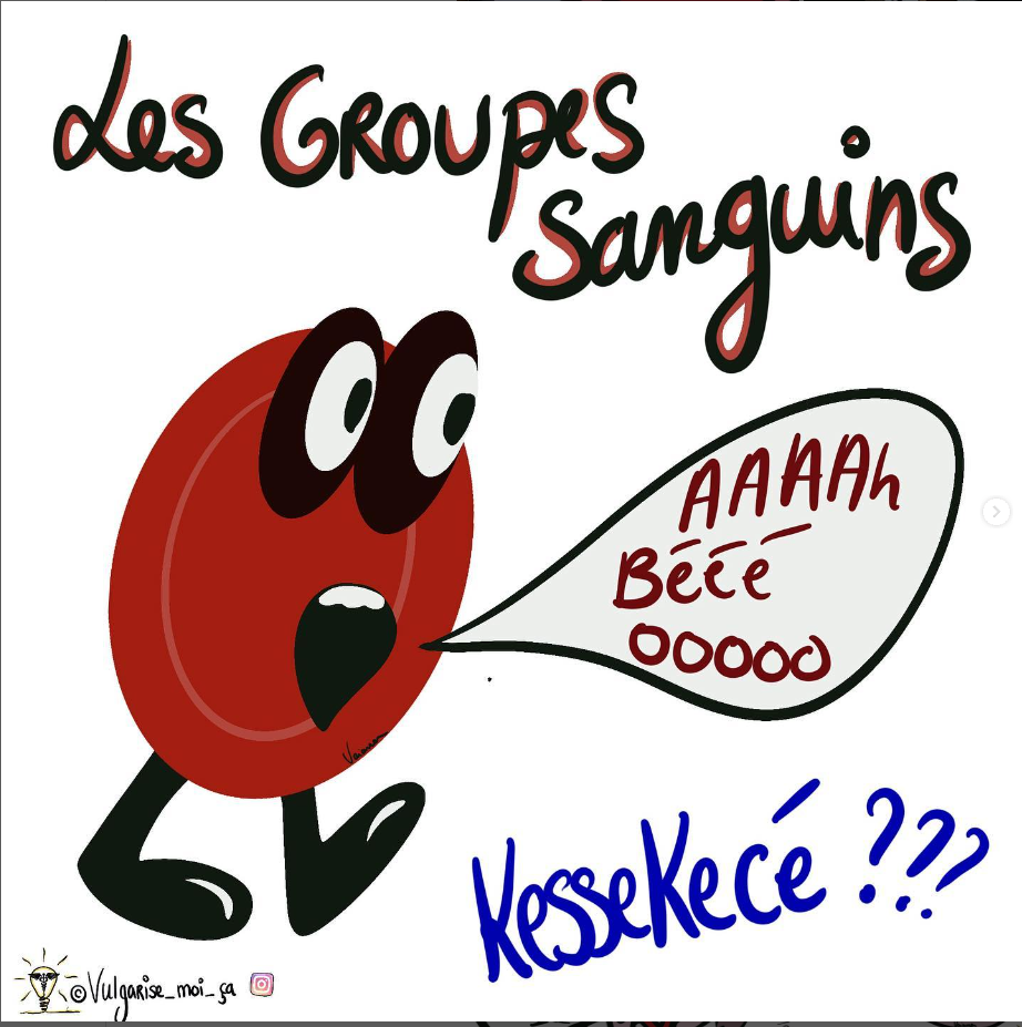 STEPS BICOLOR INFO | Genially