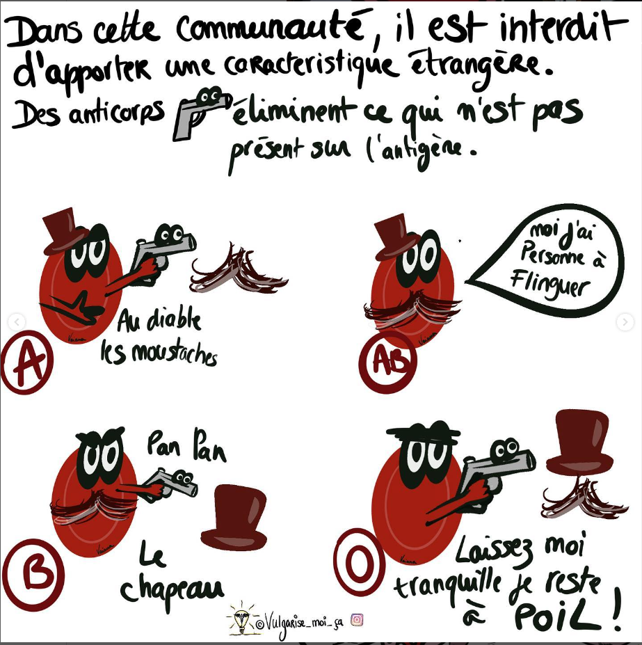 STEPS BICOLOR INFO | Genially