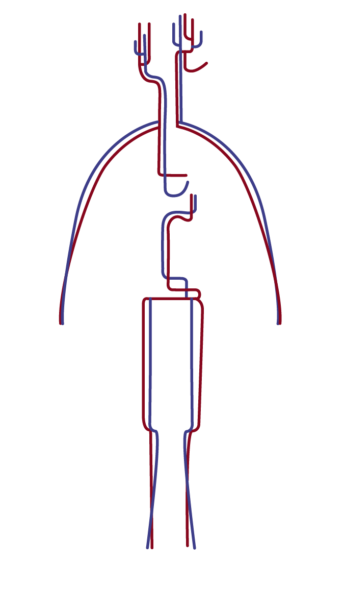 HUMAN BODY BOARD GAME | Genially